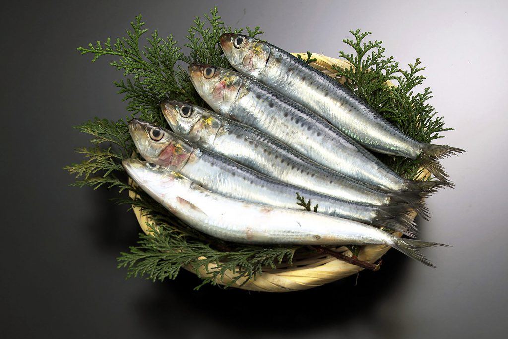 おすすめ鮮魚 | 株式会社魚力